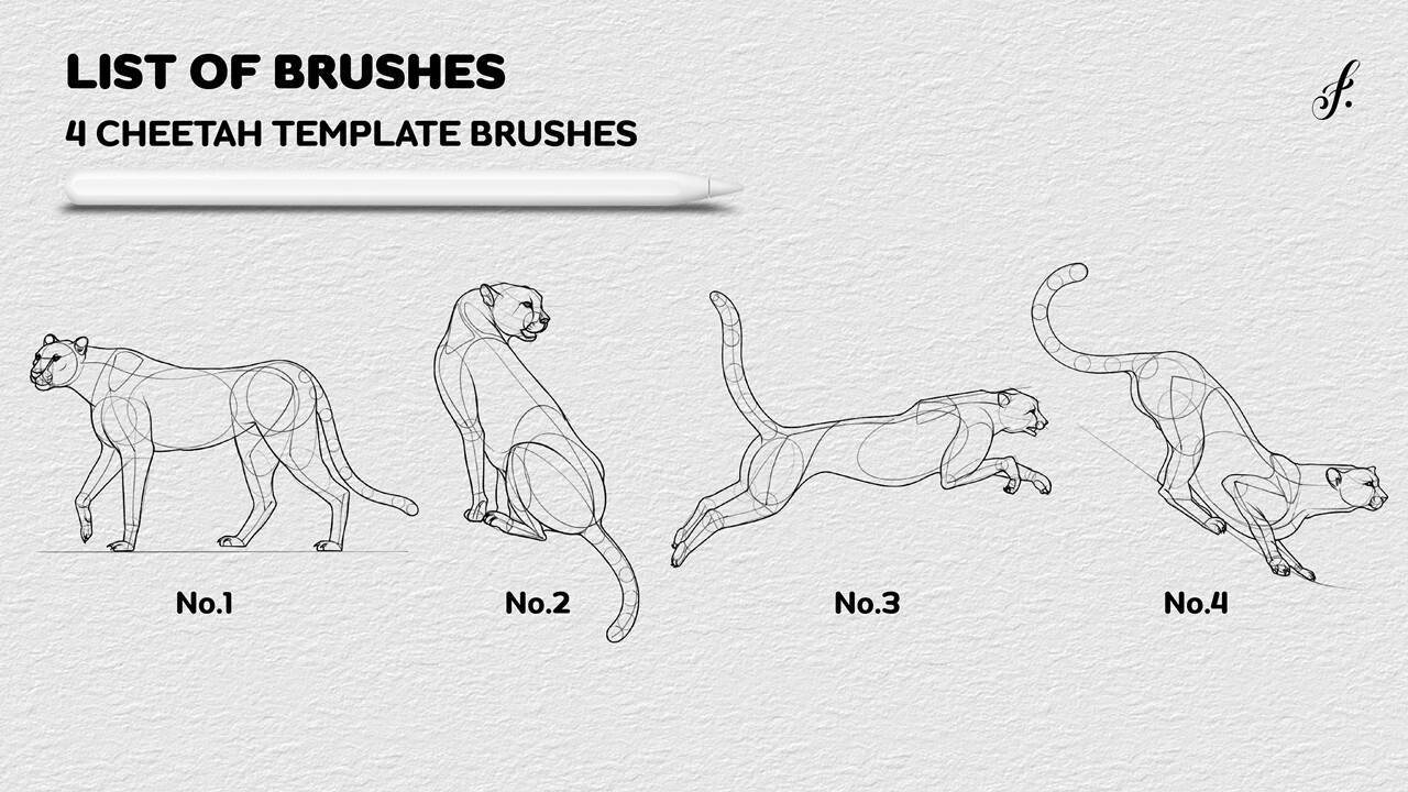 ArtStation - Procreate Cheetah Stamp | 4 Template Procreate Brushes ...