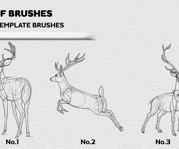 ArtStation - Procreate Deer Stamp | 3 Template Procreate Brushes | Brushes