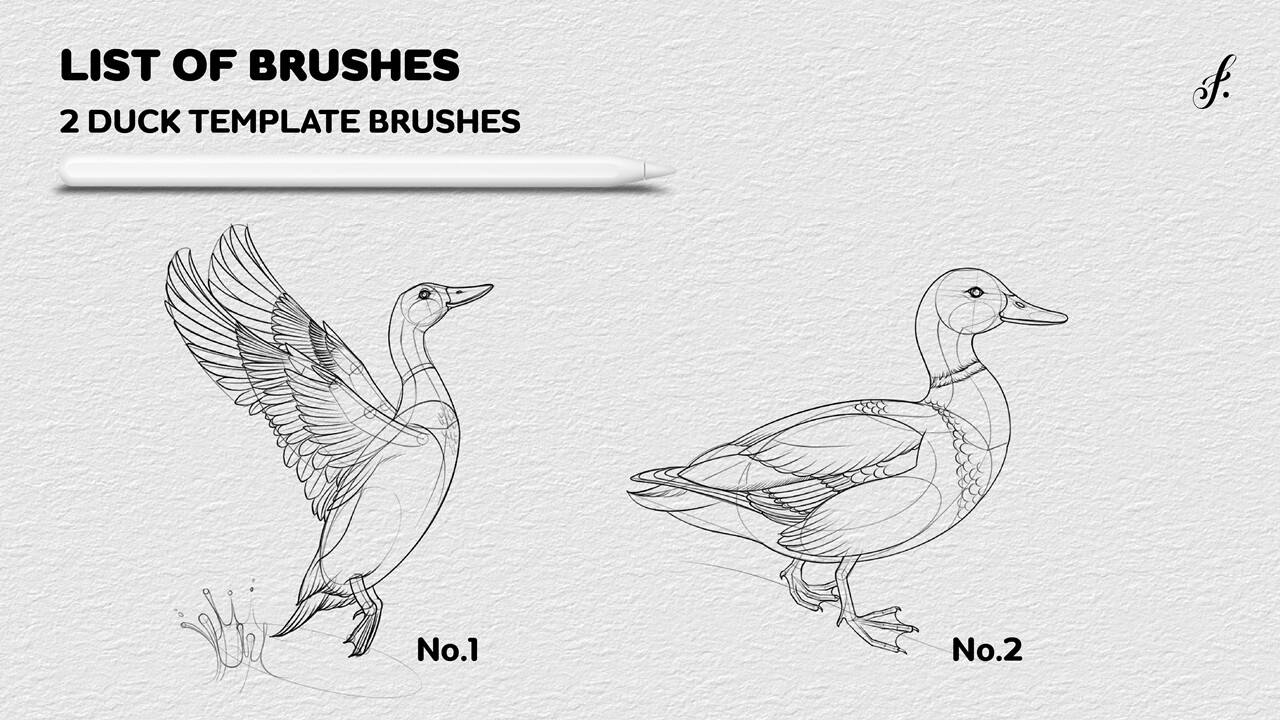 ArtStation - Procreate Duck Stamp | 2 Template Procreate Brushes | Brushes