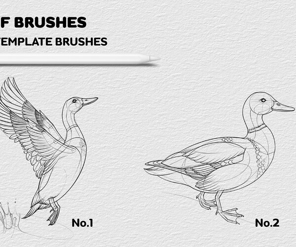 ArtStation - Procreate Duck Stamp | 2 Template Procreate Brushes | Brushes