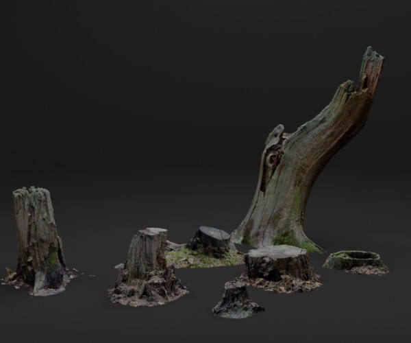 ArtStation - 7x British Forest Tree Stumps | Resources