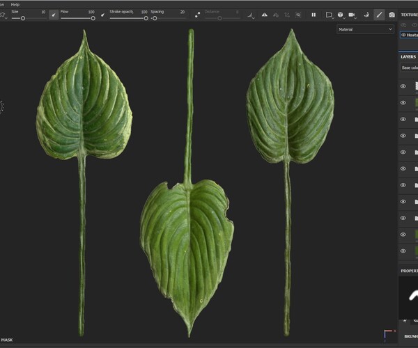 ArtStation - Foliage Study - Project files (UE5, Substance Painter ...