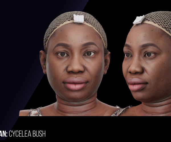 ArtStation - Raw Head Scan | Cycelea Bush | Resources
