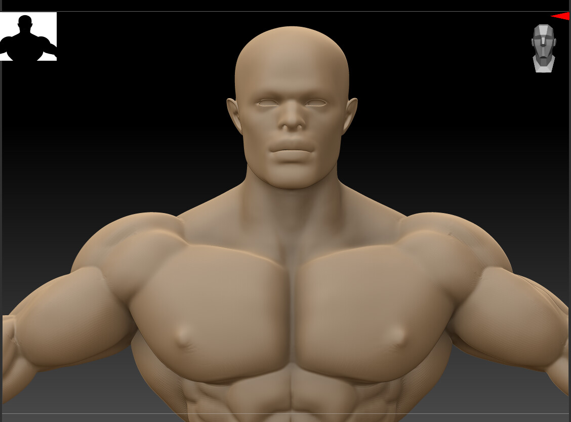 ArtStation - Male Bodybuilder 3D model with Briefs and Genitals | Resources