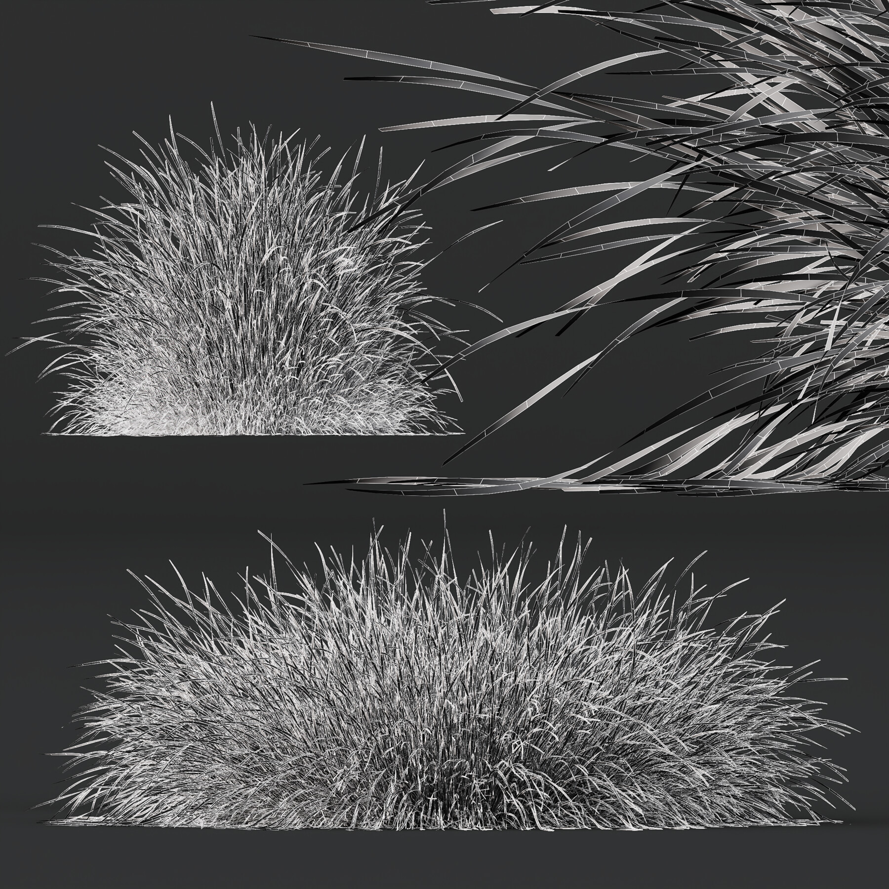 ArtStation - Plants Carex Testacea Orange Sedge Grass Prairie Fire ...