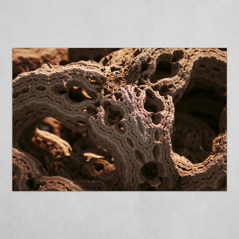 Fractal bones ( Generative Art ) by Tamas Melykuti