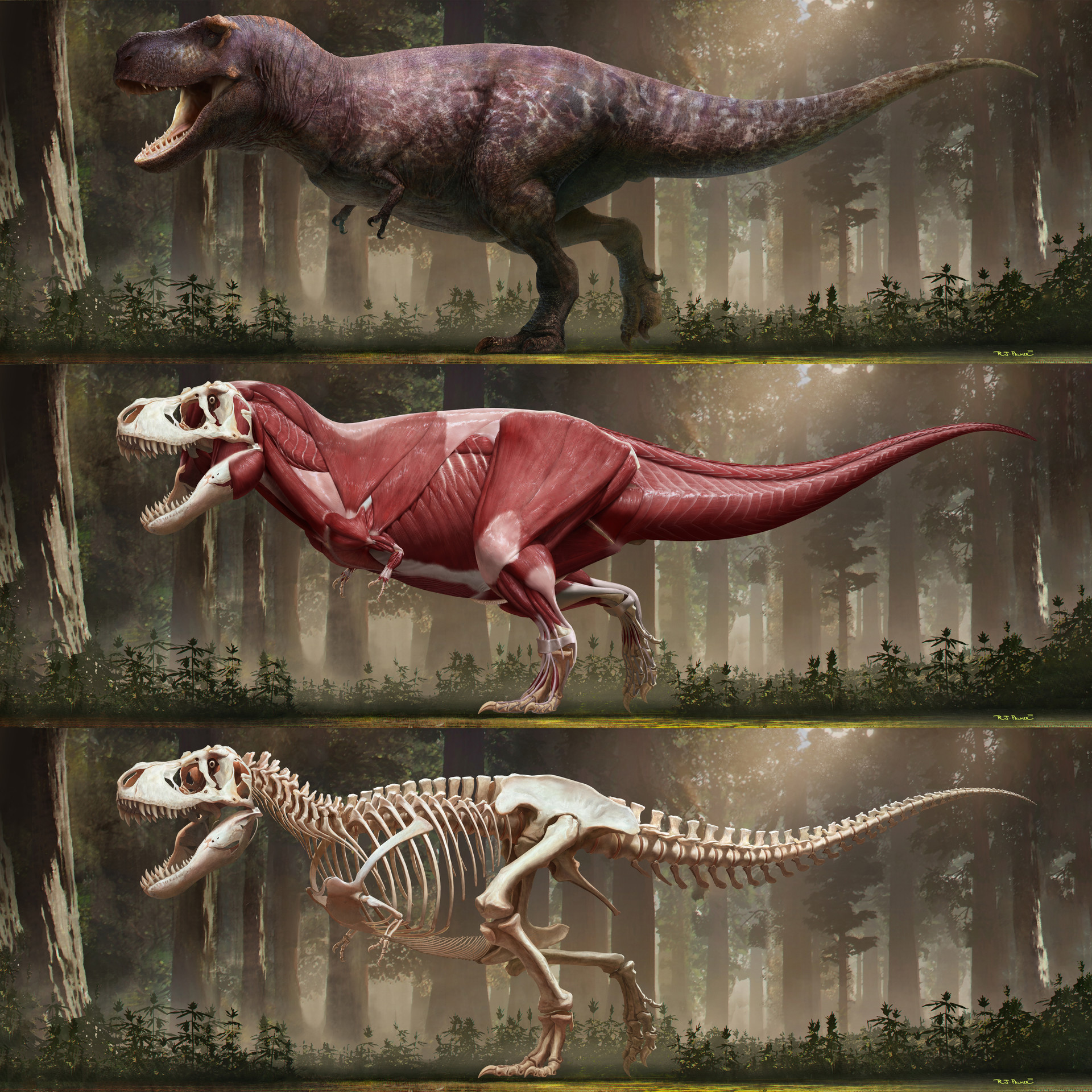 Reddit - Dive into anything