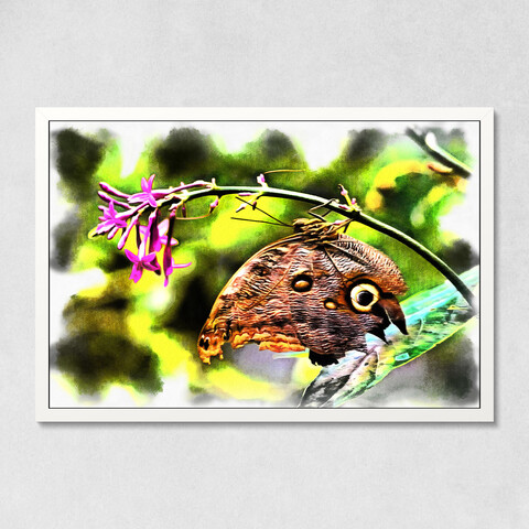 Curves by Allan Davis