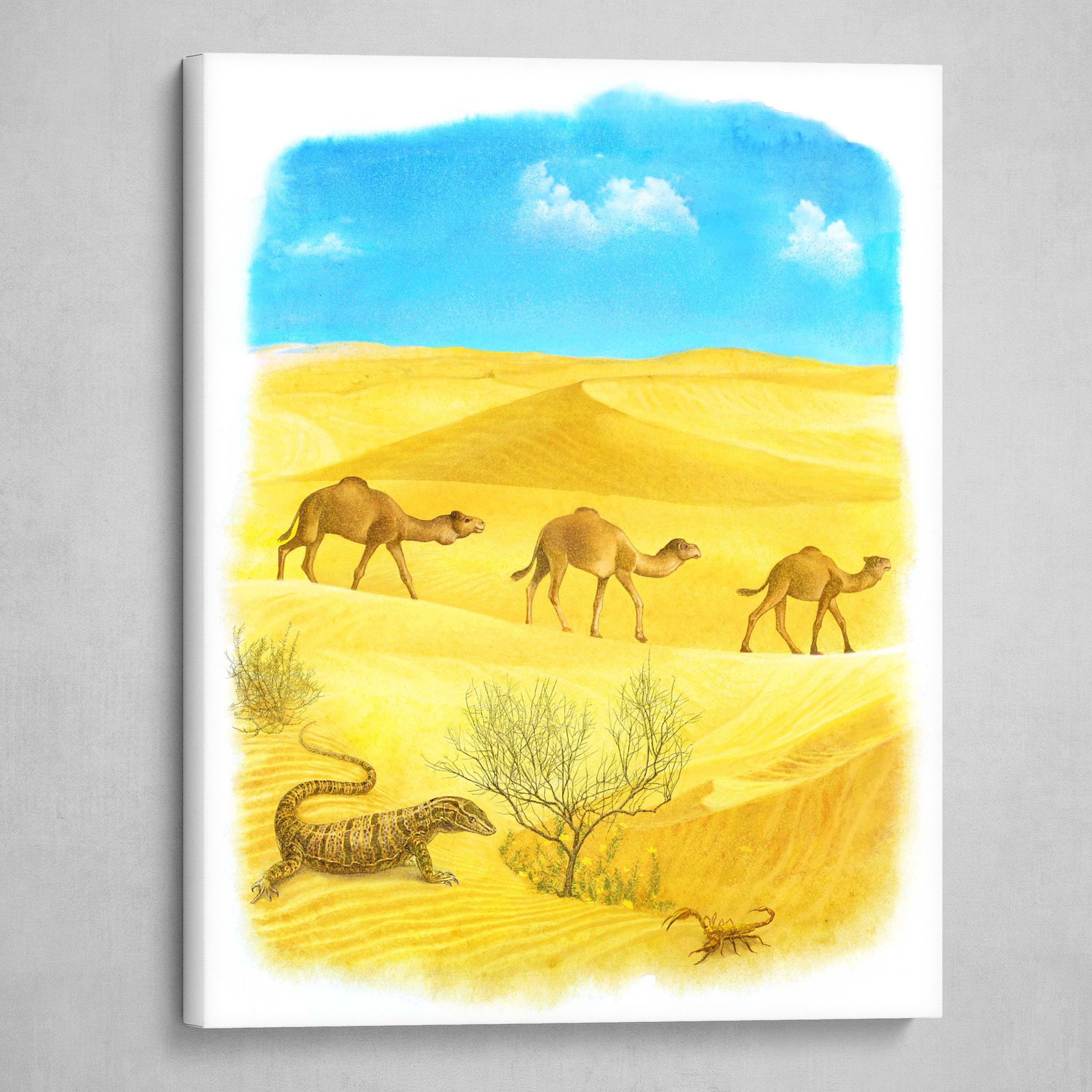 Sahara Desert Drawings