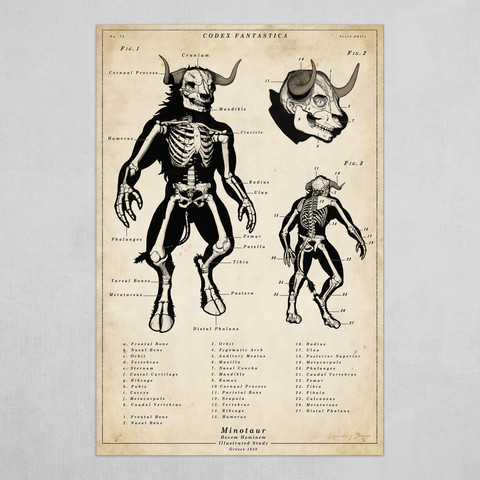 Minotaur Anatomical Illustration Chart by Joseph Roberts