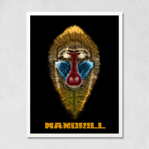 Mandrill Poster by TornState