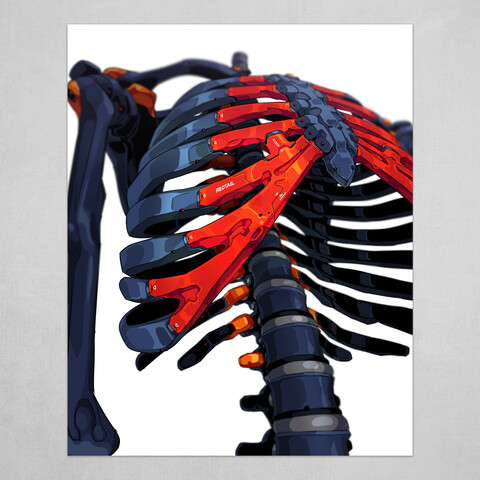 強化骨格2：Enhanced skeleton2 by TERU