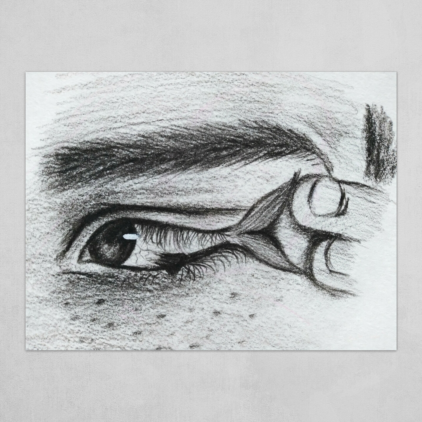 how to draw a realistic fish eye