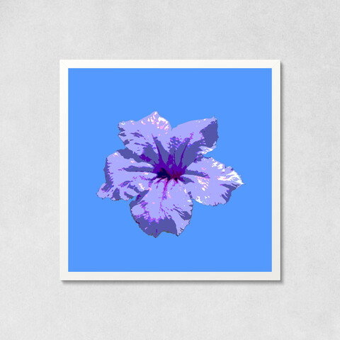 A Ruellia Simplex flower in blue background - posterize style by Vee Winch
