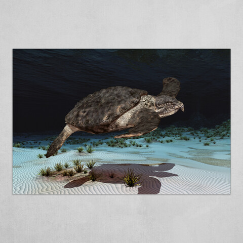 Prehistoric giant sea turtle Archelon by Michael Rosskothen