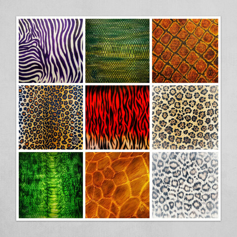 Wildlife Skins Series by Matt Starr