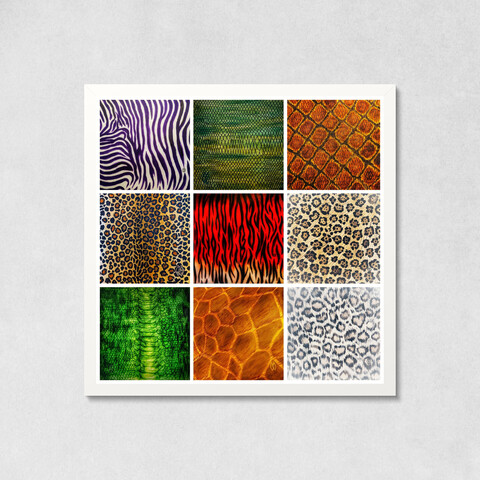 Wildlife Skins Series by Matt Starr