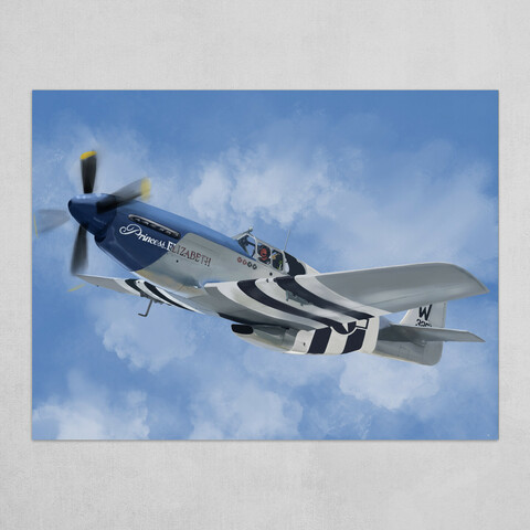 Princess Elizabeth by Shaun Beckert