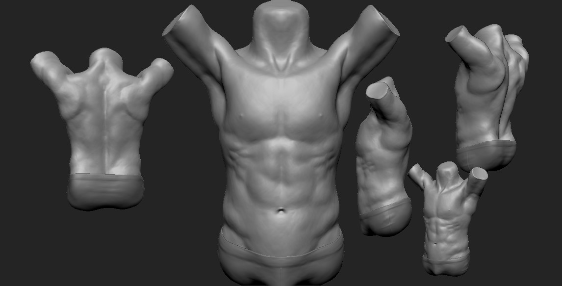 ArtStation - Update on my torso study