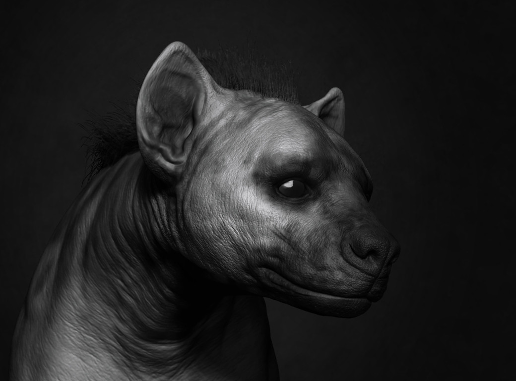 Aritz Basauri - Hyena sculpt