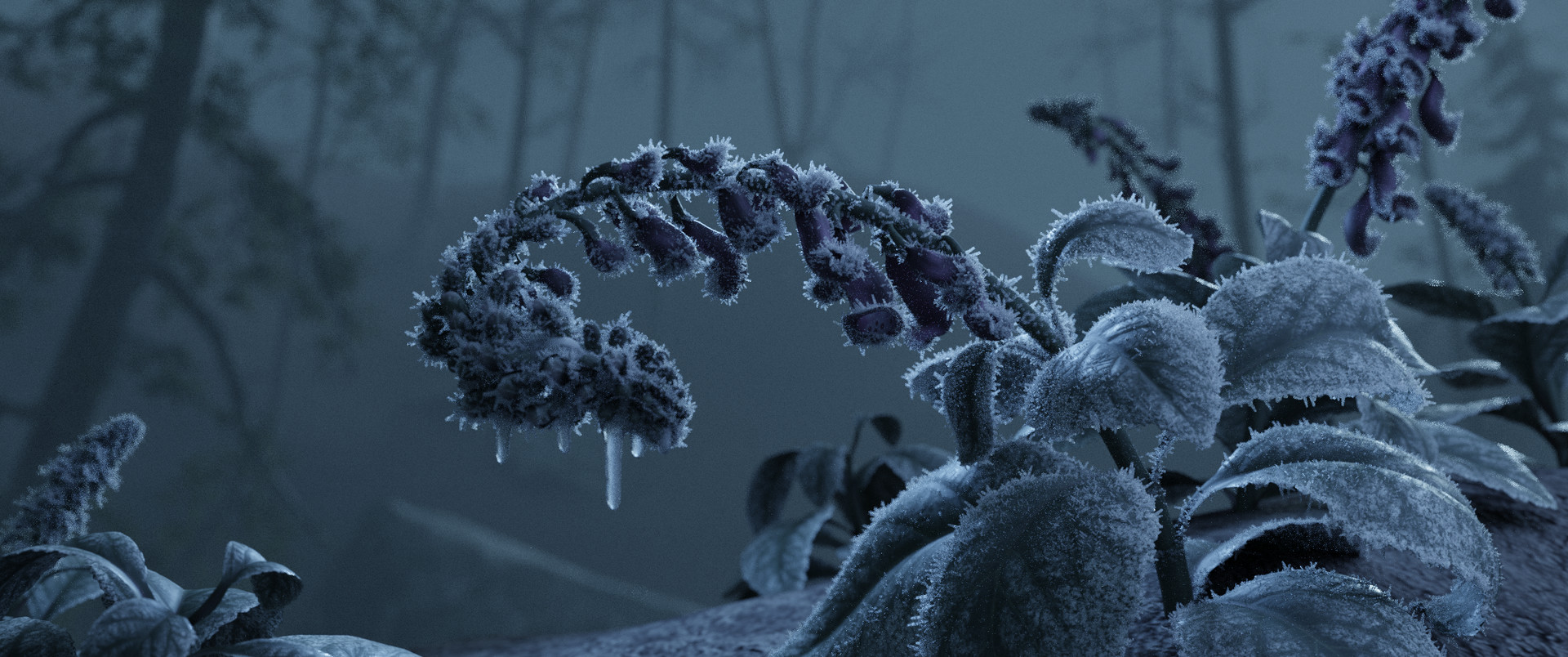 Julien Kaspar - Blog