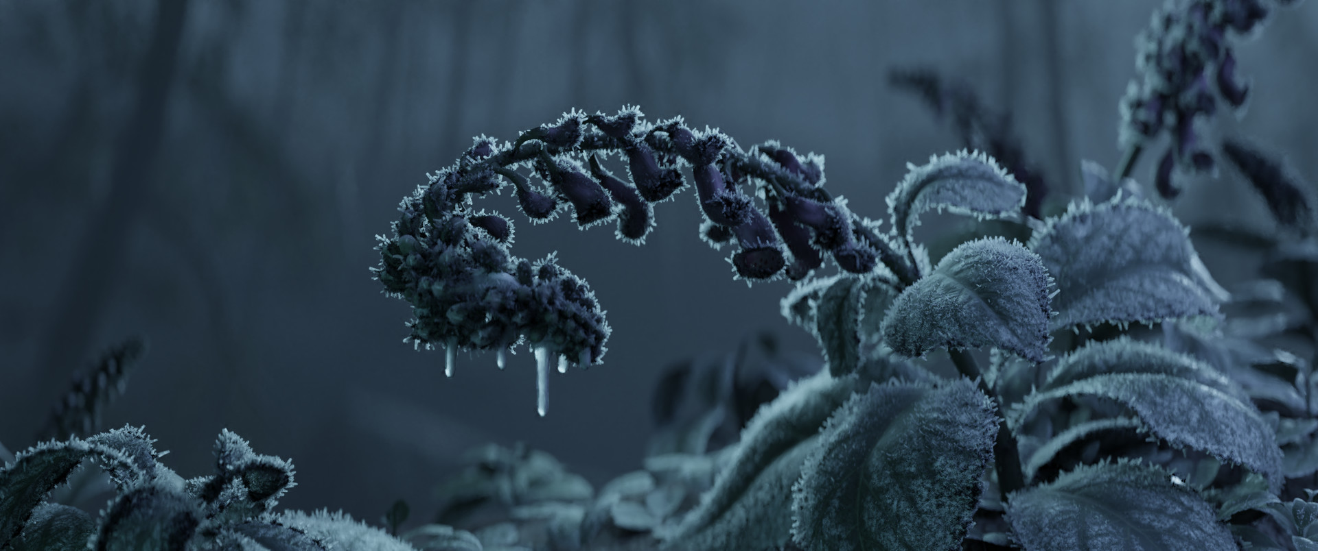 ArtStation - More Spring & Commercial Work