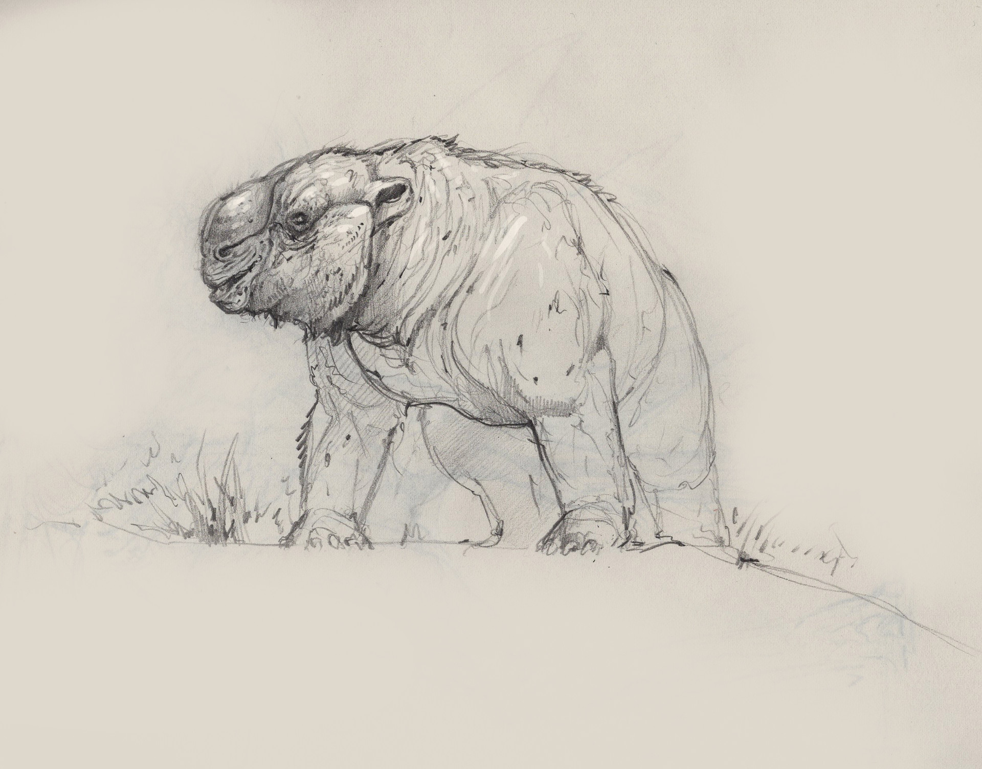 ArtStation - Diprotodon