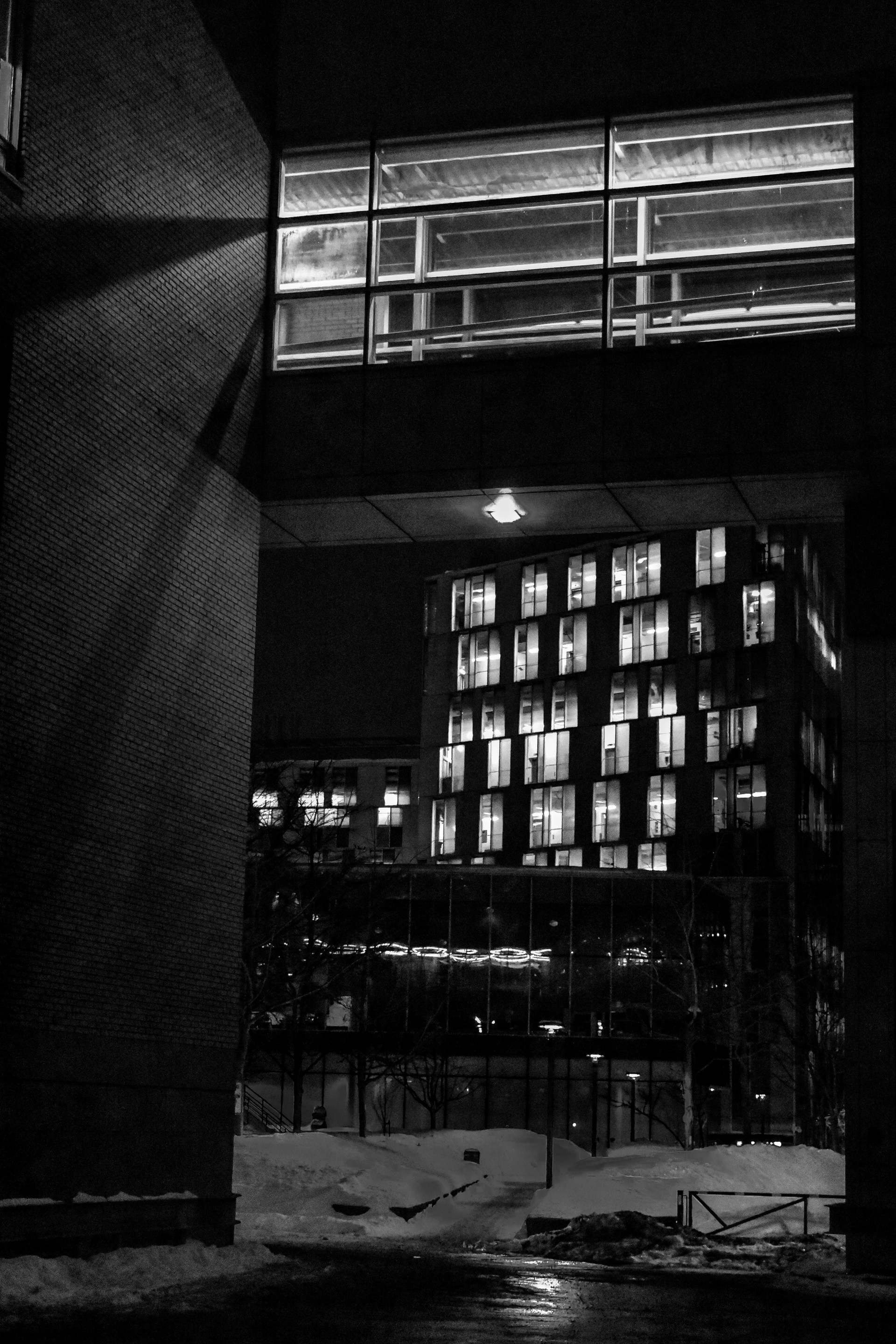 Belgian Boolean - Photography Practice 11