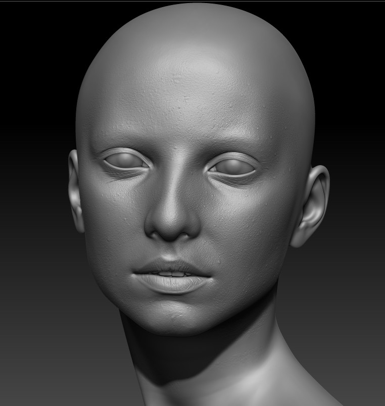 Şefki Ibrahim - THE DIGITAL HUMAN PROJECT: DISPLACEMENT MAP