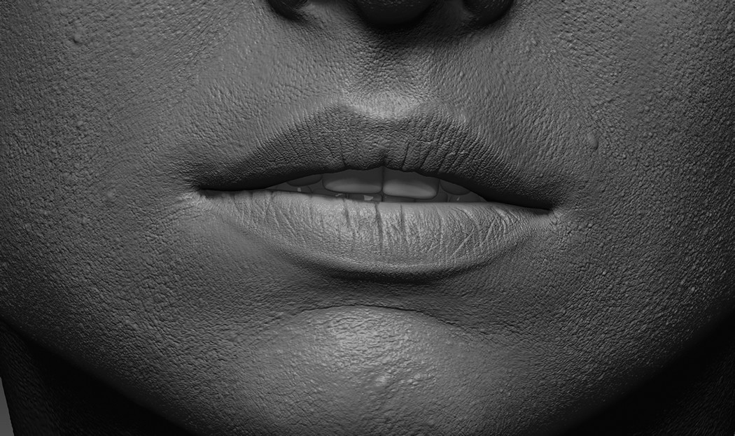 Skin Displacement Map Skin Displacement Map