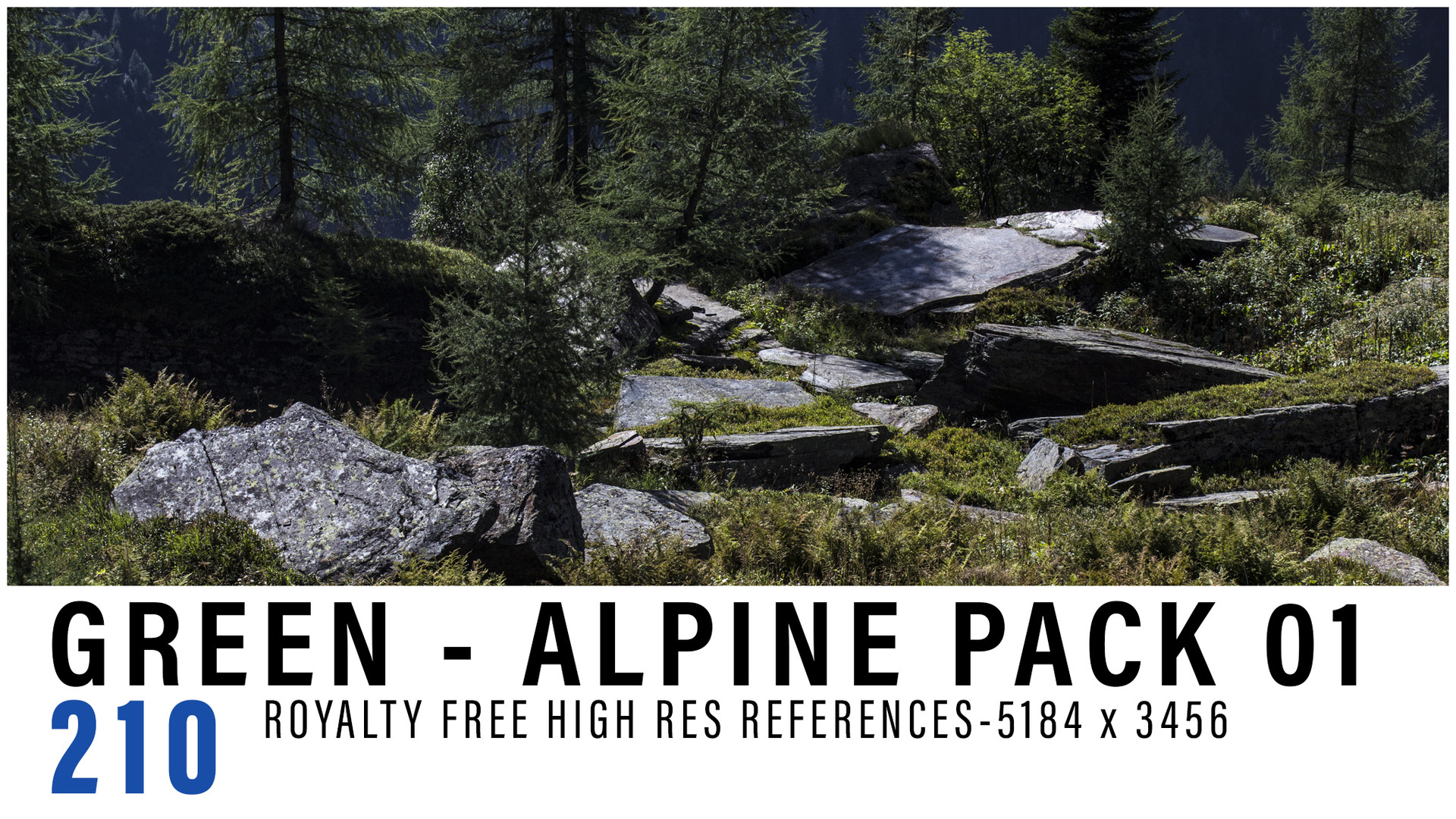 ArtStation - GREEN ALPINE PACK 01 - HIGH RES REFERENCES 5184 x 3456