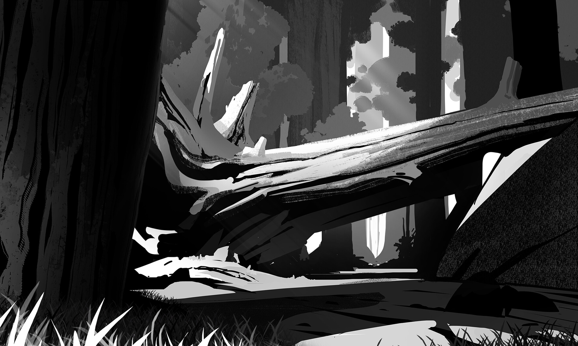 ArtStation - Black and White sketches and Prints