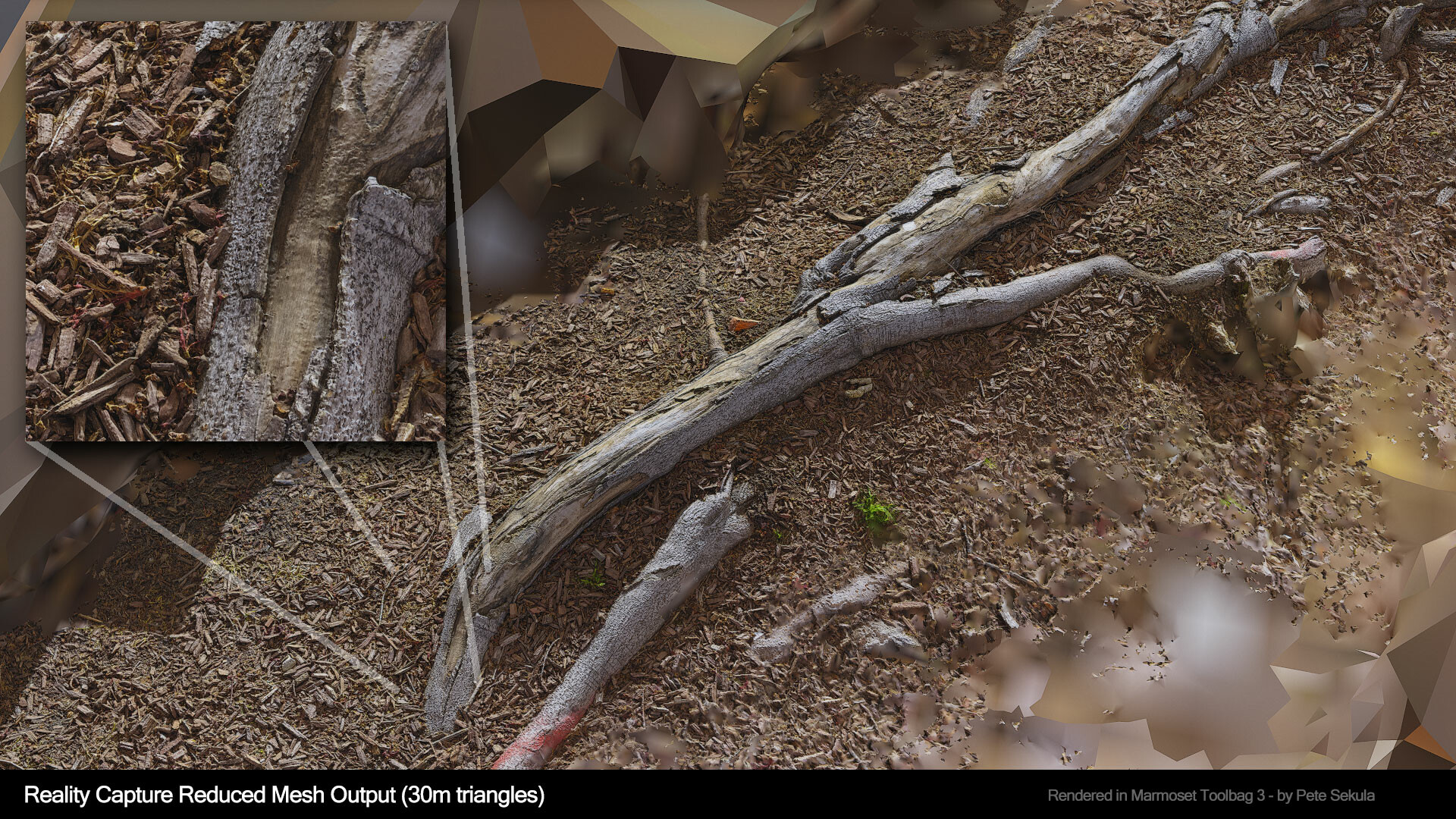 ArtStation - Photogrammetry Scan: Tree Root in Mulch