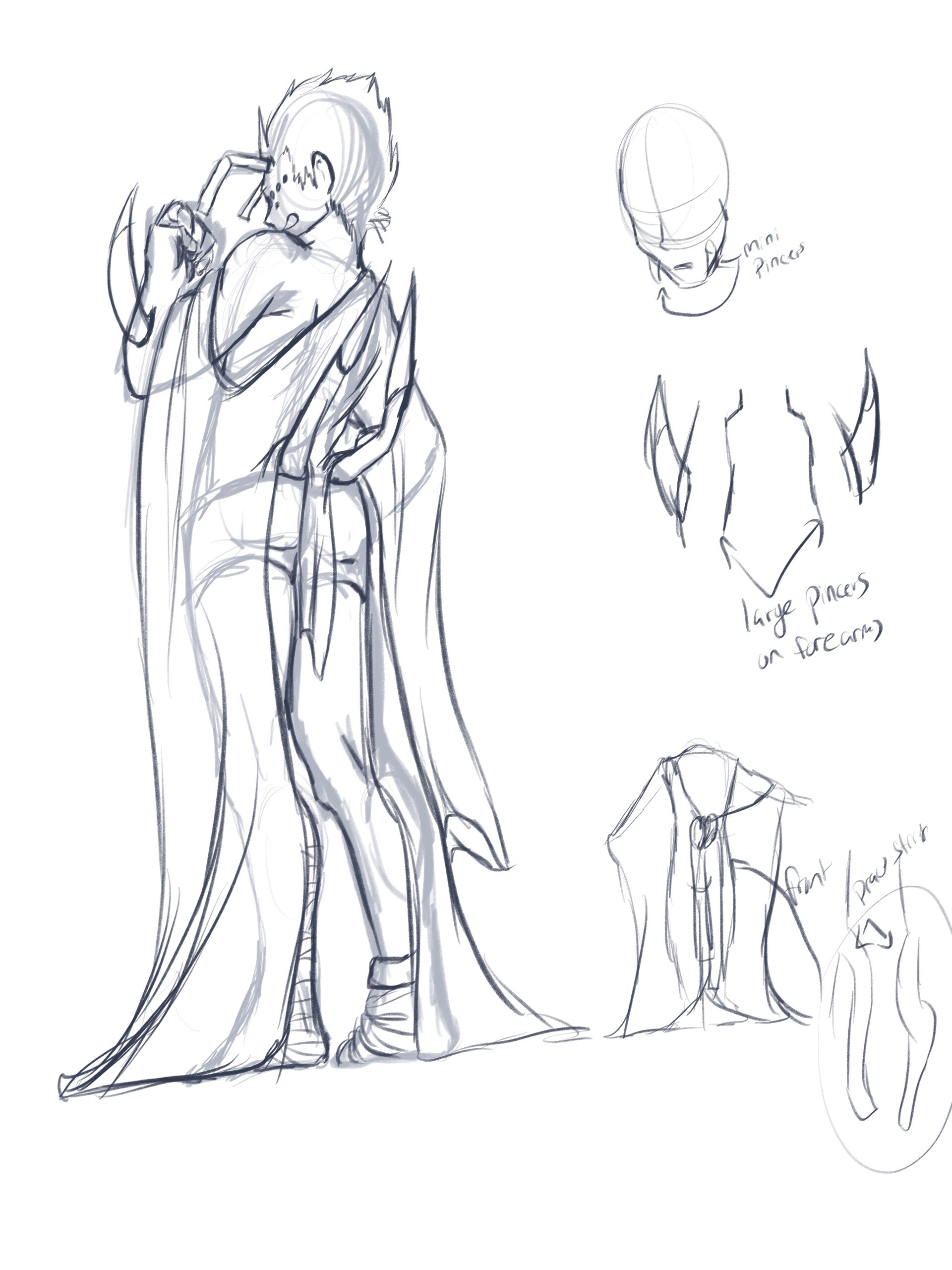 centipede drawing reference