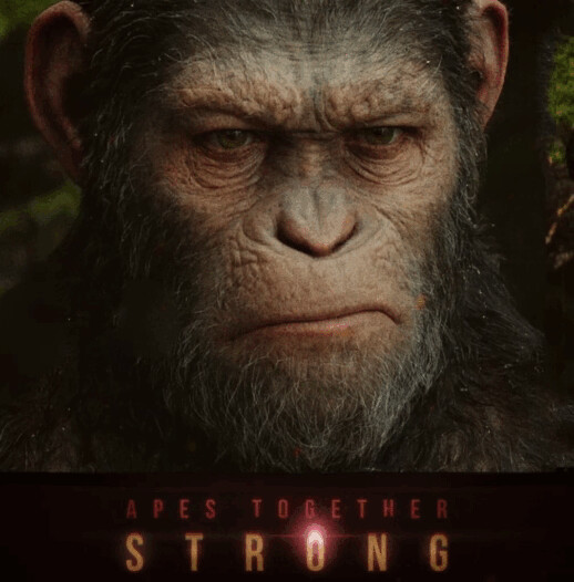 ArtStation - 🏆 Caesar 🙏