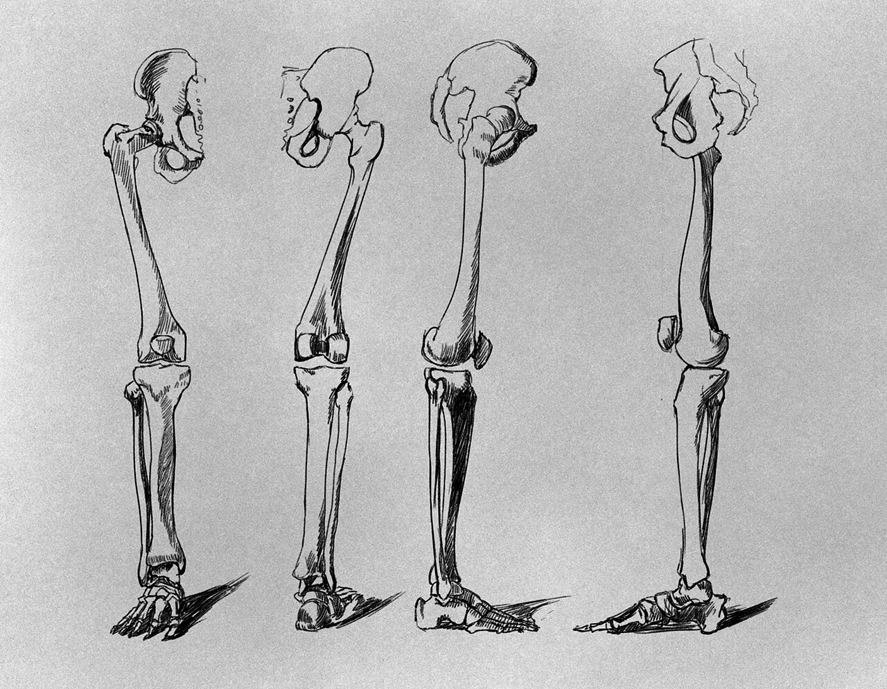 ArtStation - Studies