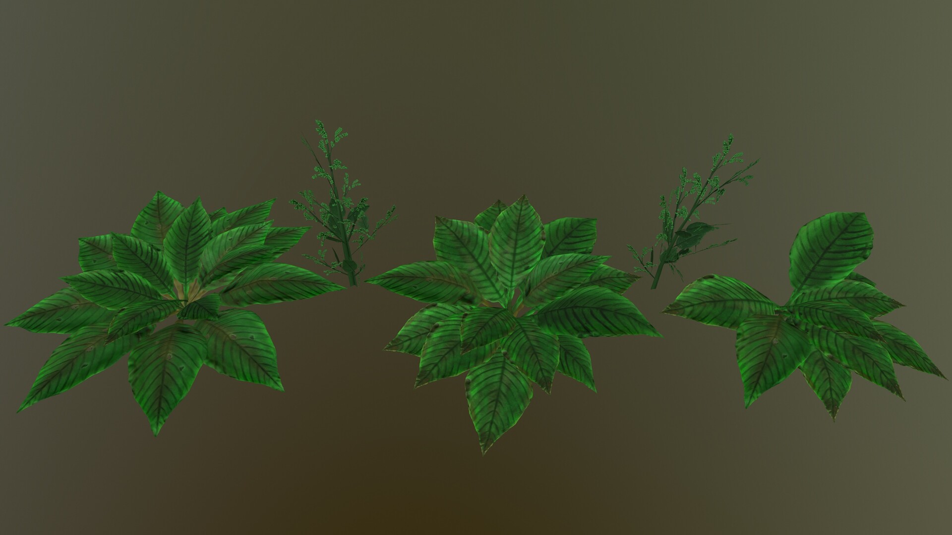 ArtStation - CGMA Class - Vegetation & Plants for Games Pt.1