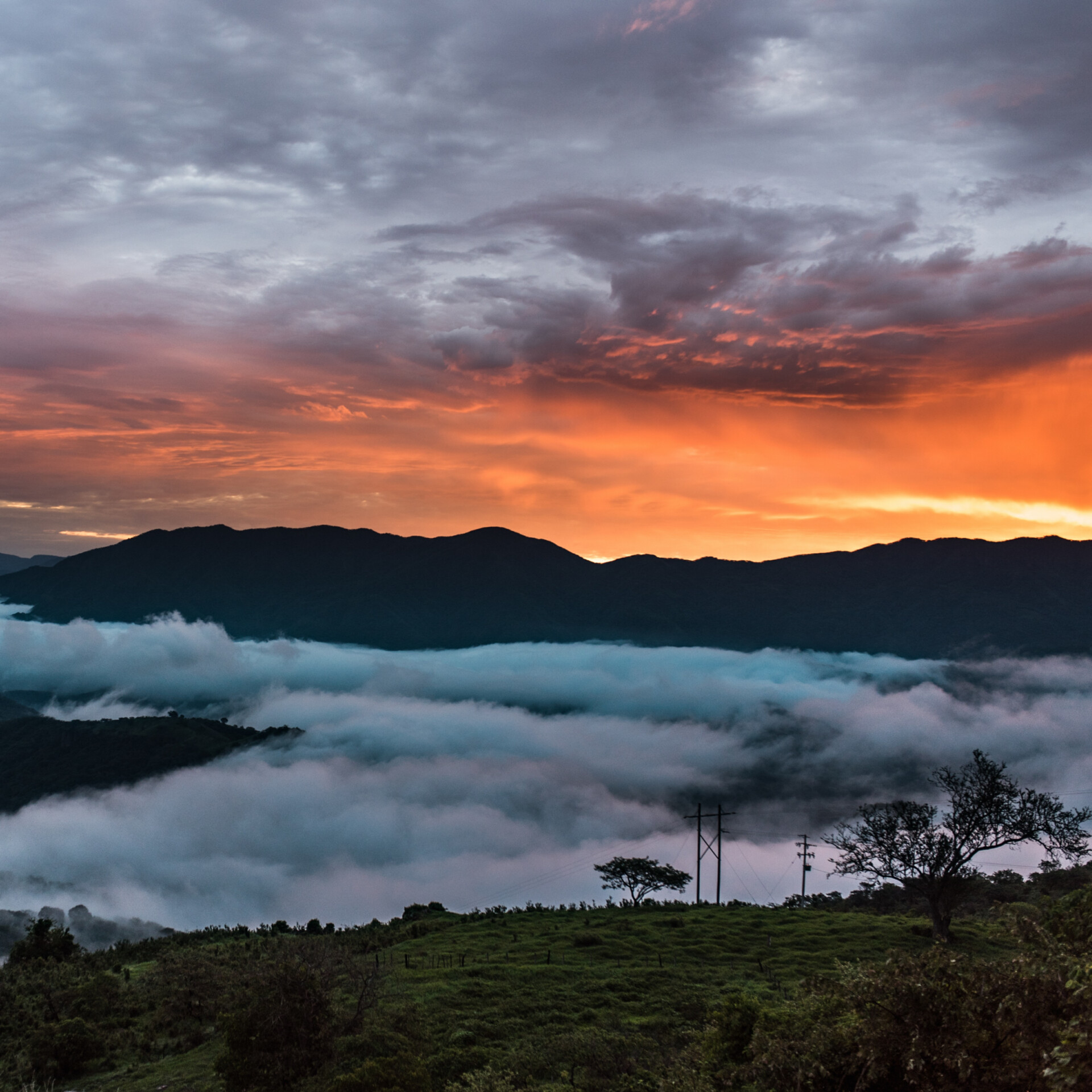 ArtStation - Substance Designer - Procedural Oil Painting Filter