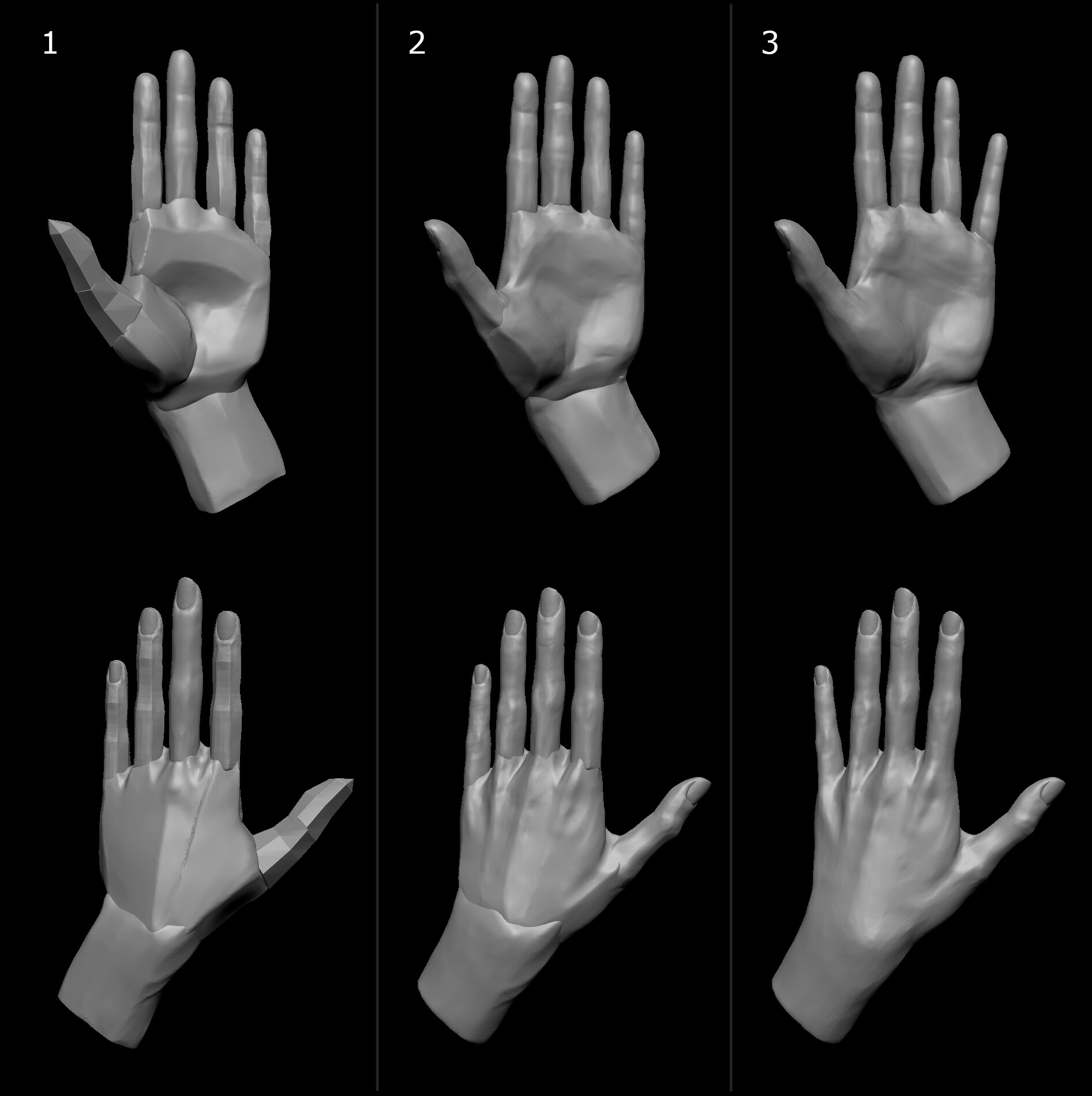 Blake Kostroun - Anatomy study - Landmarks of the Hand