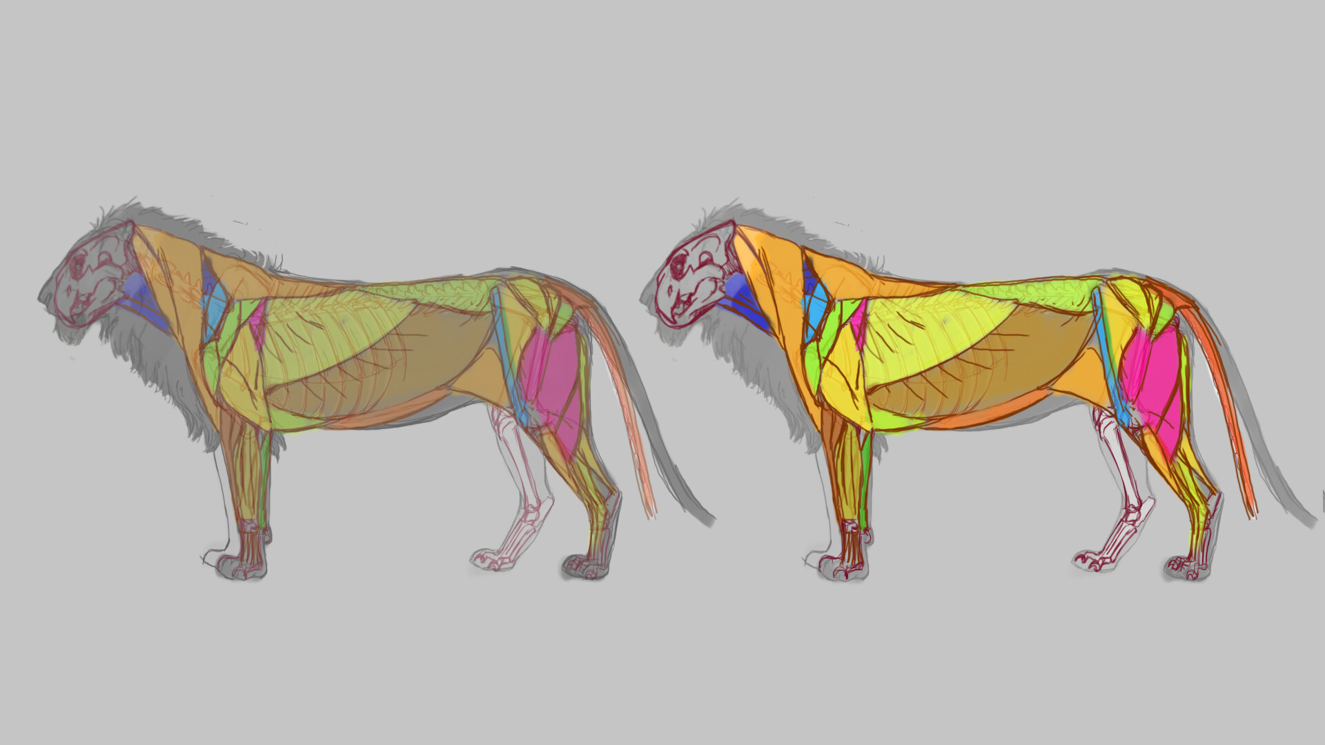 Aritz Basauri - Blog