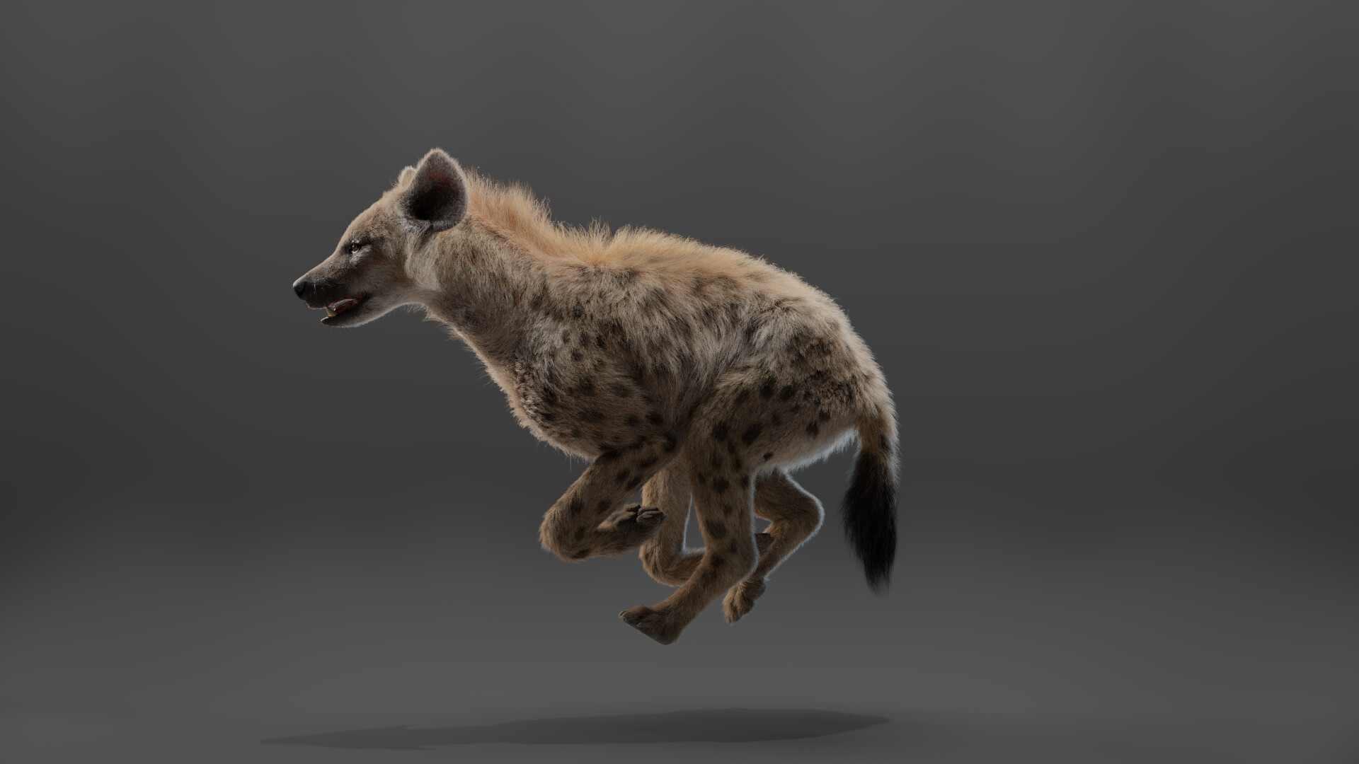 ArtStation - Spotted Hyena