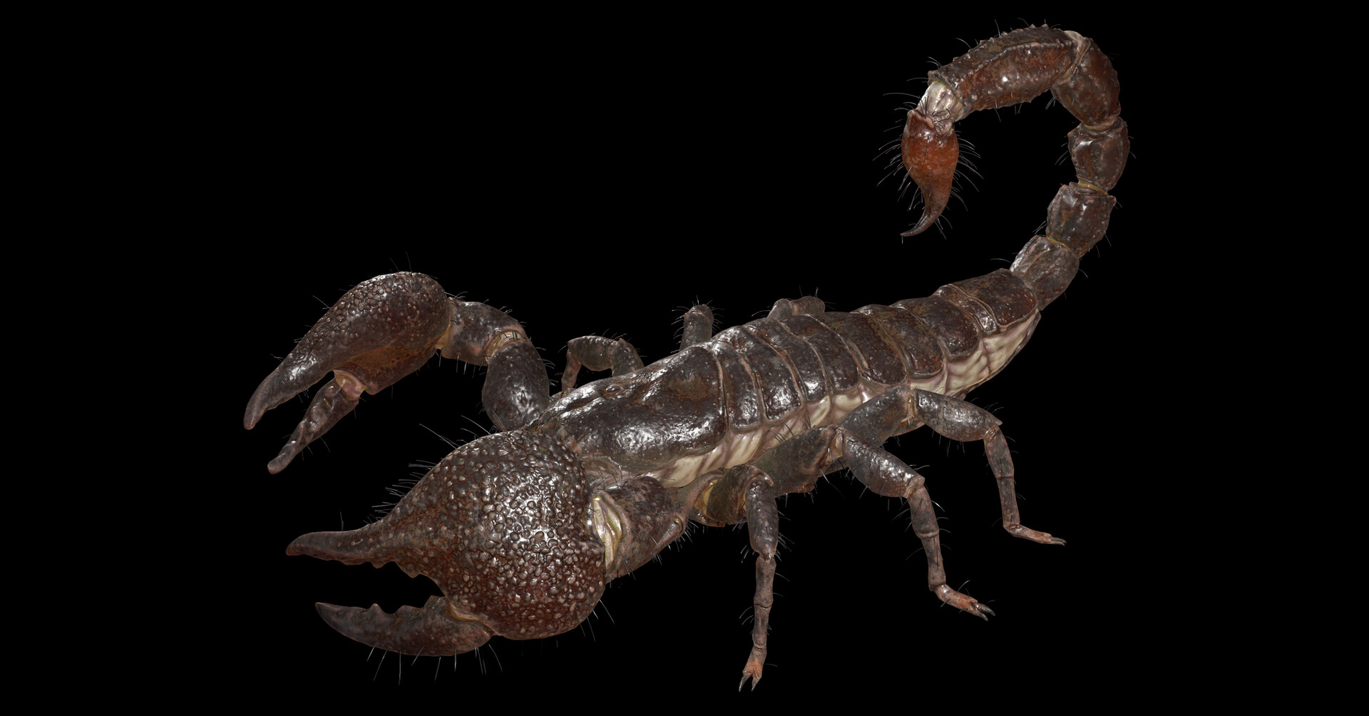 ArtStation - 08 - Emperor Scorpion