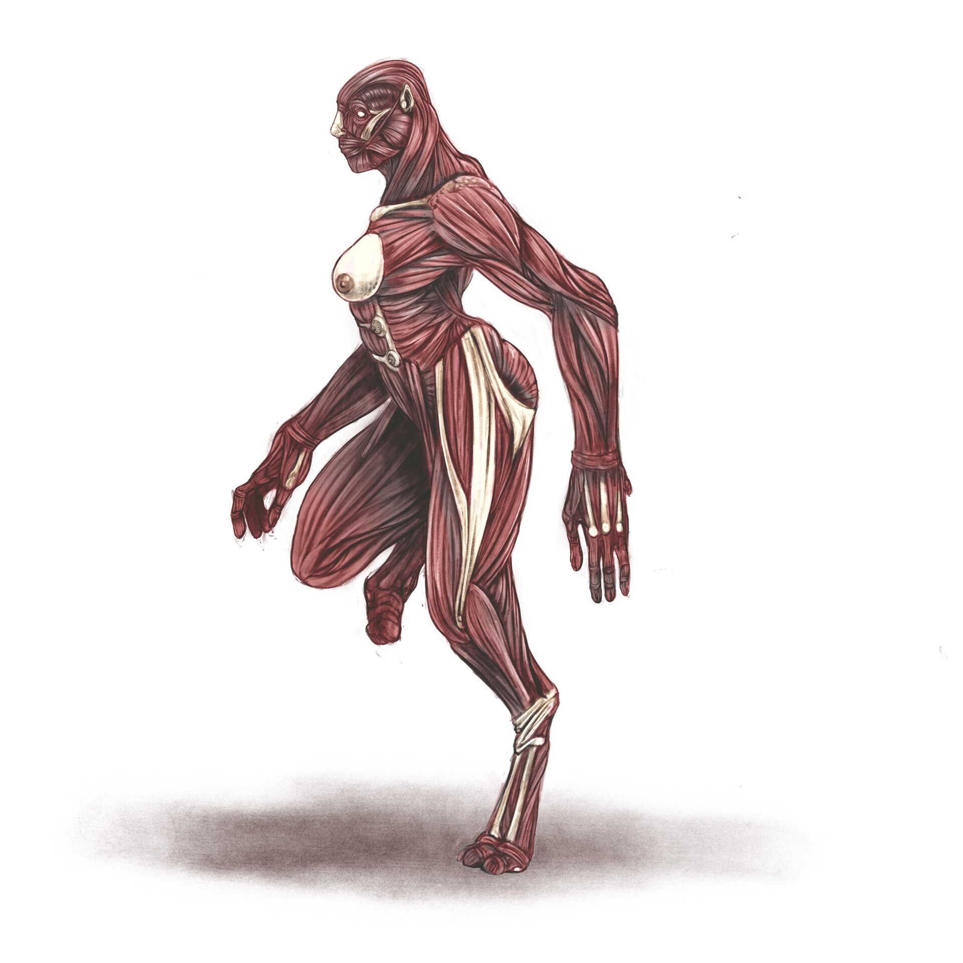 ArtStation - Exercise 01c: Female Werelion!