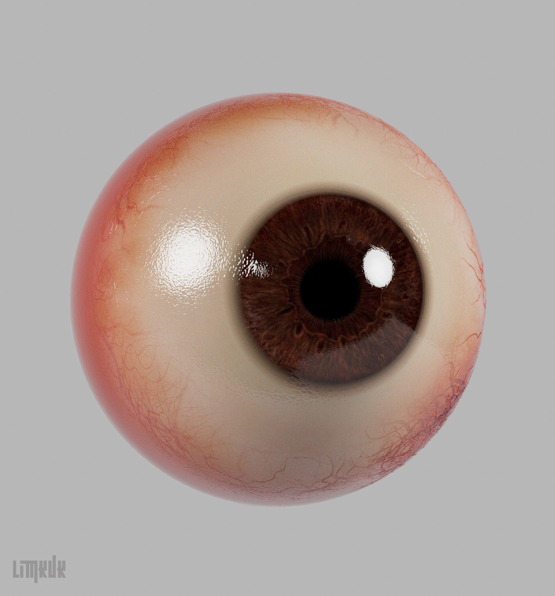 Limkuk . - Workshops