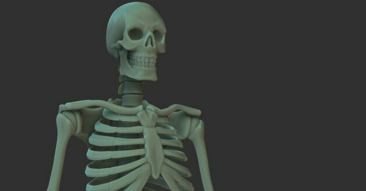 ArtStation - Skeleton Base Mesh