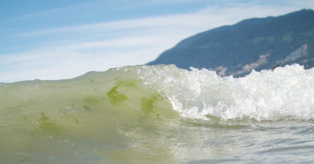 ArtStation - watershading