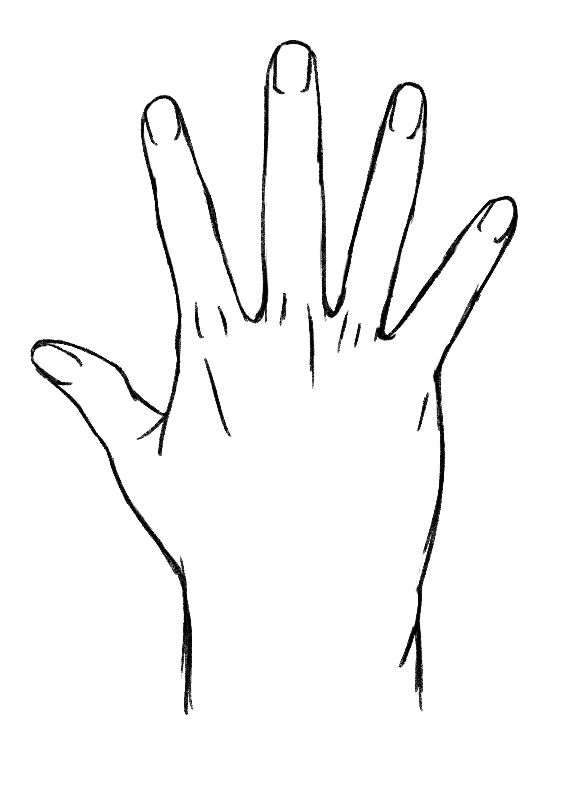 how to draw on procreate with finger