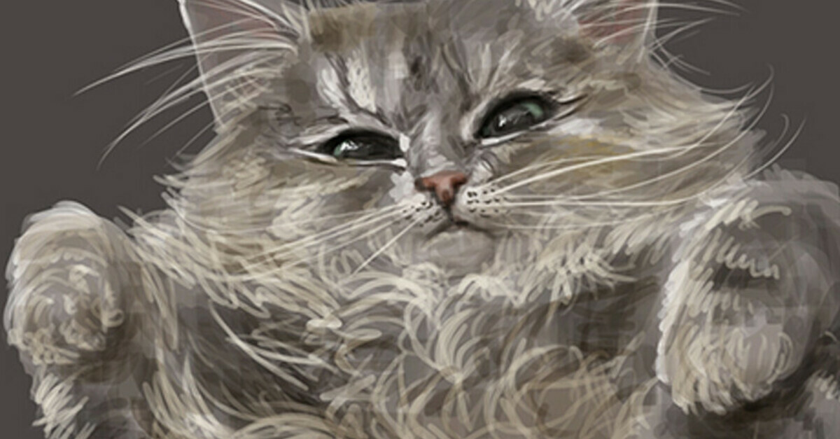 ArtStation - Tosha cat challenge