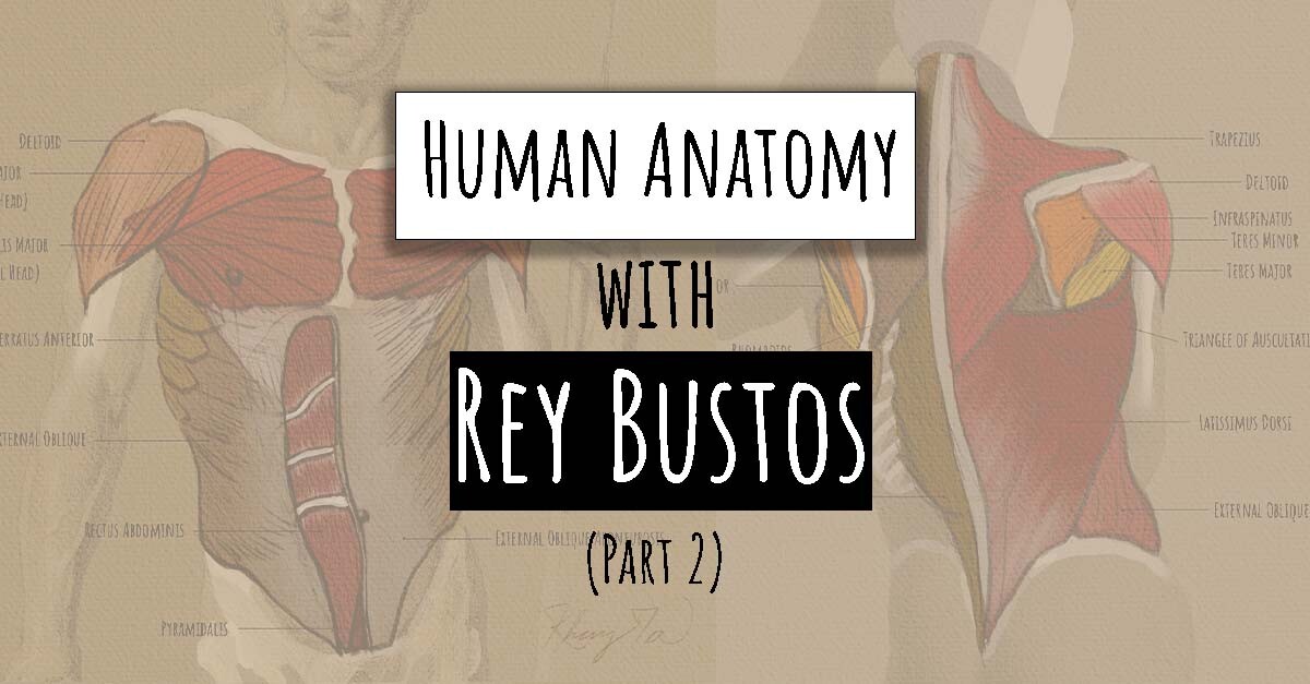 Khang Ta Art - 22 - Human Anatomy with Rey Bustos - Part 2
