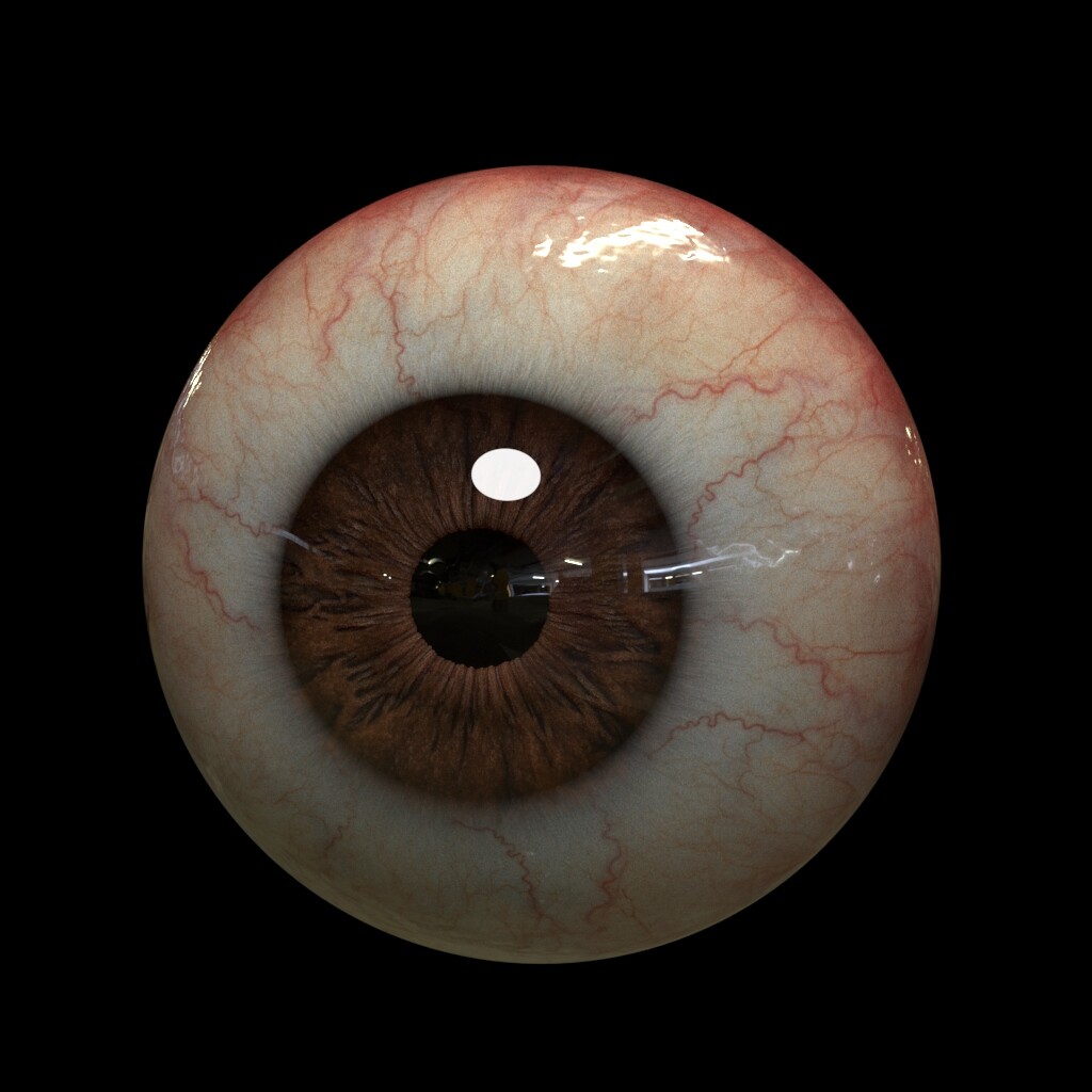 Lacrimal Caruncle
